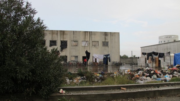 Rosarno: tornano le aggressioni contro i lavoratori stranieri Rosarno: tornano le aggressioni contro i lavoratori stranieri